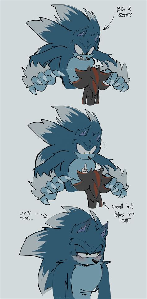 Sonic The Hedgehog Shadow The Hedgehog And Sonic The Werehog Sonic