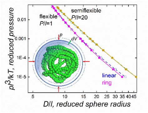 Pressure Of Linear And Ring Polymers Confined In A Cavity The Journal Of Physical Chemistry B