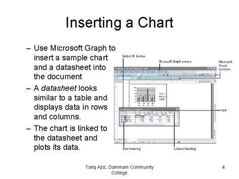 CA Word Application Working With Charts Week