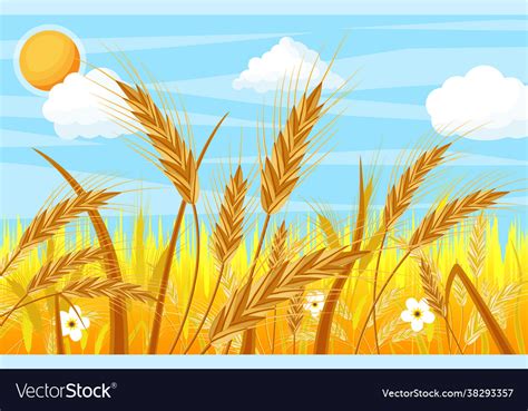 Wheat In Fields Landscape With Ear Harvest Vector Image