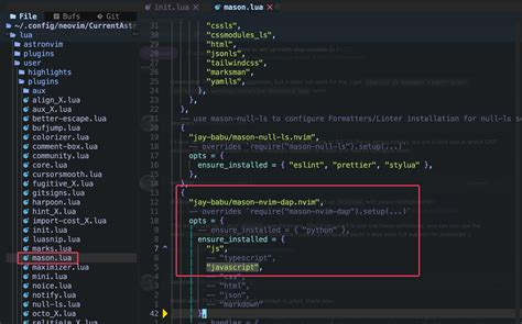 How To Set Up Nvim Dap Vscode Js Issue AstroNvim AstroNvim GitHub