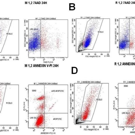 A Melanoma Cells 02 Mg Ancotil And Viability At 24 Hours With 7 Aad