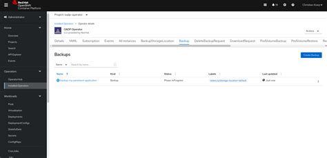 Backup And Recovery With Openshift Apis For Data Protection Oadp
