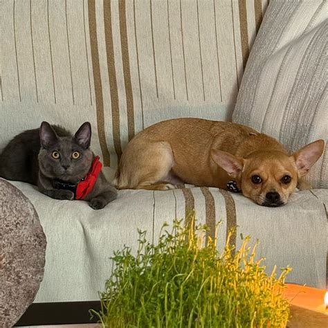 Rubyandluckyareamericanboys Youtube