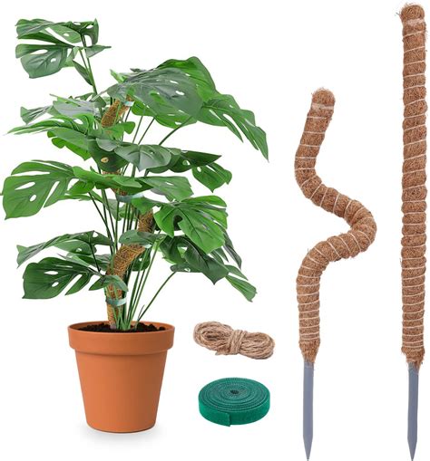 2 Pack 25 Inch Coco Coir Moss Poles For Climbing Indoor