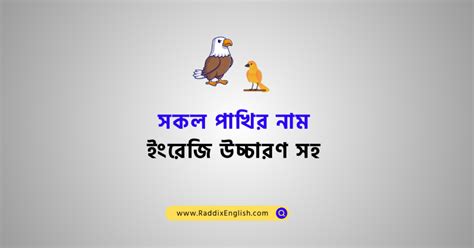 সবজর নম Vegetable Name in Bengali Vegetable Vocabulary Raddix English