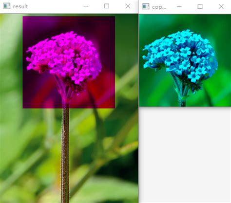 【opencv】16 图像roi与roi操作roi Image Csdn博客