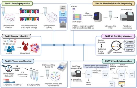 Overview Of Key Steps In Our Methodology From Sample Collection To Download Scientific Diagram