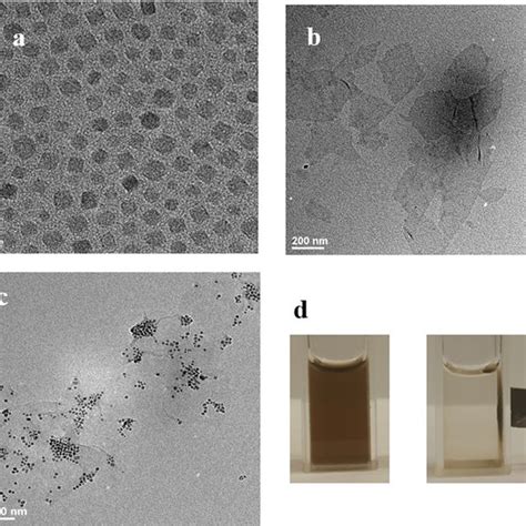 Tem Of A Superparamagnetic Fe 3 O 4 Nps B Graphene Oxide C Go Fe 3 Download Scientific