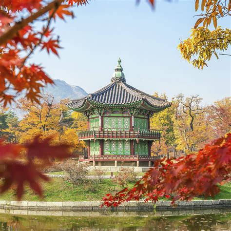 Туры в Южную Корею из Геленджика за 185 000 ₽ от 7 дней