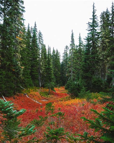Best Places To See Fall Colors In Washington State The Ultimate Guide