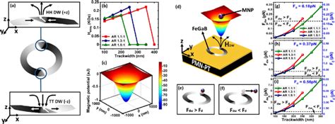 Generation Of The Stray Magnetic Field ~ H Stray With Radial Download Scientific Diagram