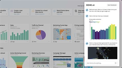 Ai Analytics Domo