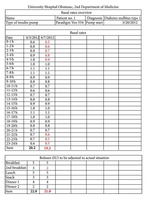 Testing Basal Rate Insulin Pumps At Erin Page Blog