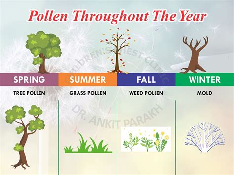 Allergy Symptoms Pollen Season At Jeramy Phillip Blog