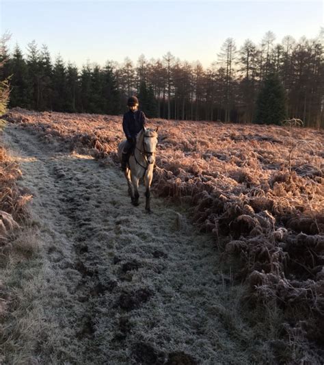 Contact Friends Of Mortimer Forest