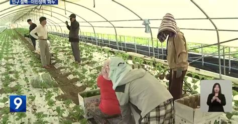 ‘신생아보다 외국인…전환점 맞은 인구정책