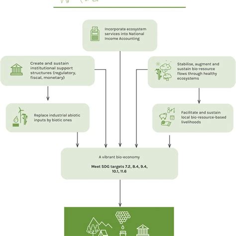 Objectives And Outcomes Of Program 5 Biodiversity And Health Download Scientific Diagram