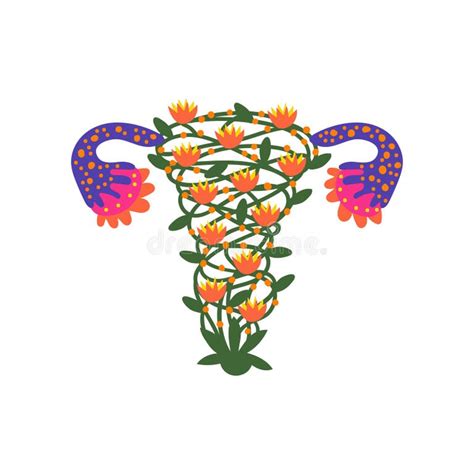 Woman Reproductive Health Illustration Stock Illustrations 5527