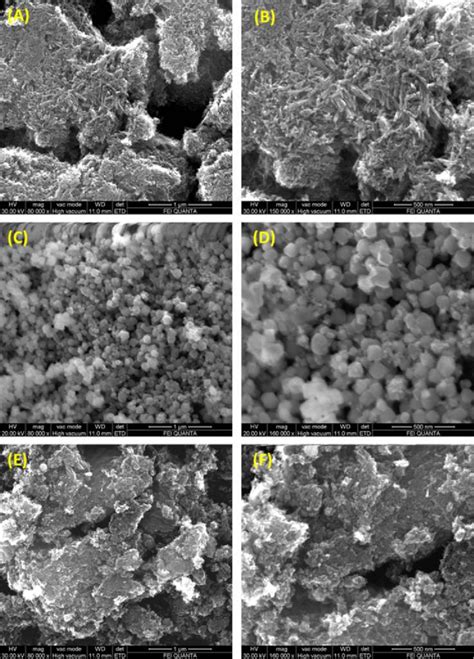 SEM Images Of A B TiO 2 Nanorods C D Bi 2 WO 6 And E F 3 Wt Download Scientific