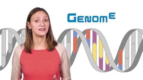 What Is The Difference Between Genetics And Genomics Youtube