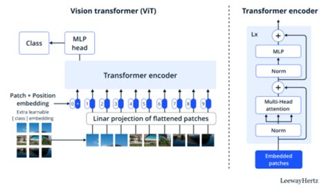 Vision Transformer Model Architecture Development And Applications
