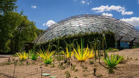 The Avant Garde Glass Of Dale Chihuly Returns To The Missouri Botanical