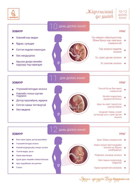 Жирэмсний үе шат Ирээдүй эмнэлэг Ireedui Emneleg