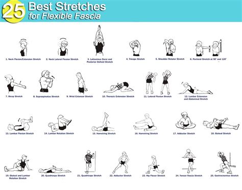 Soreness And Stiffness Are Often Blamed On Muscle Tightness Strains Or