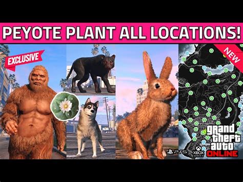 Peyote Gta 5