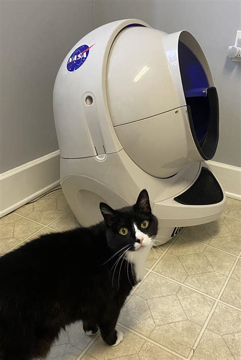 Litter Robot 4 Motor For Lr3 Upgrade R Litterrobot