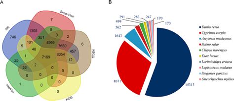 Functional Annotations Of The Non Redundant Transcripts With The Public