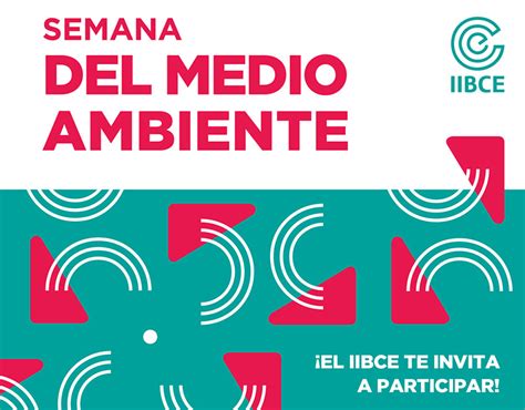 Iibce Branding 3 Images Behance