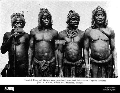 Paleonegrids Refers To An Early Concept Or Term Related To Paleontology Likely Involving Grids