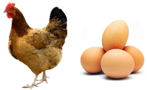 কৃষিবিদ এস এম ইসমাইল হোসেন