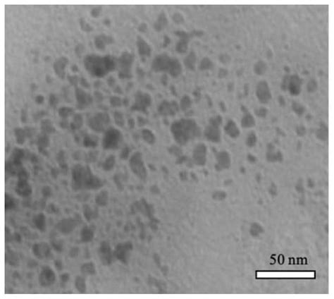 Gadolinium Functionalized Copper Sulfide Nanoparticle And Preparation