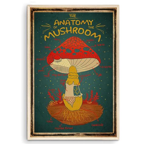 Eastern Print The Anatomy Of A Mushroom Print Mushroom Art Plant