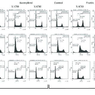 Cell Cycle Analysis Via Flow Cytometry Analysis Of The DNA Content Of Download Scientific