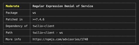 Security Vulnerability Upgrade Ws Dependency · Issue 290 · Twilio