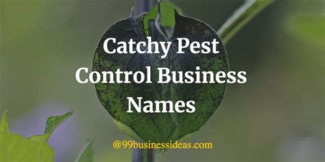 Best 500 Attractive Pest Control Business Names And Name Ideas