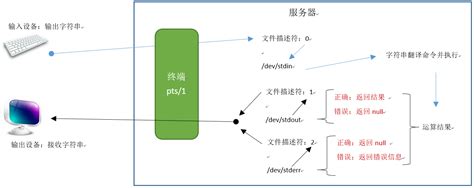 终端设备与文件描述符及重定向 csdn博客