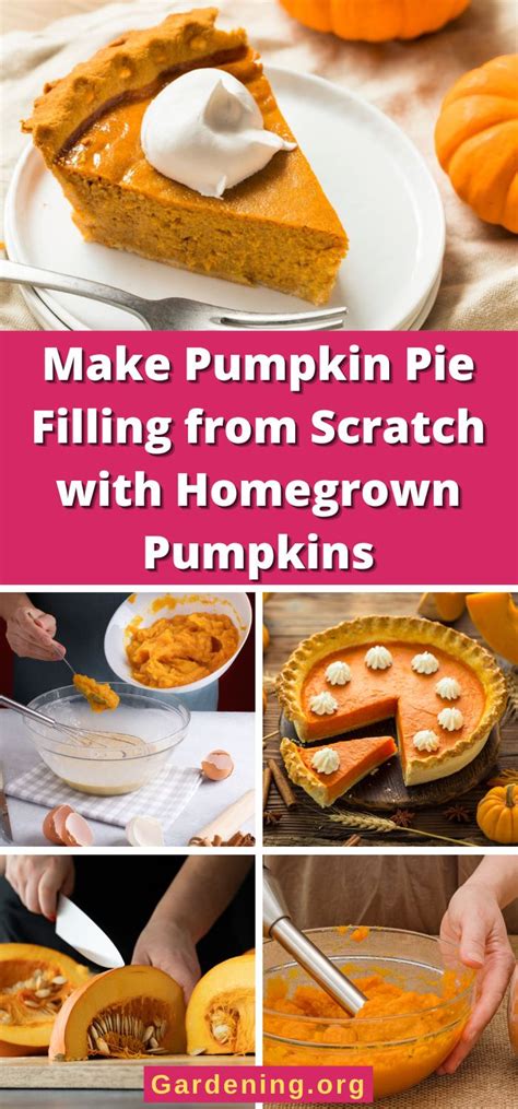 Make Pumpkin Pie Filling From Scratch With Homegrown Pumpkins Gardening