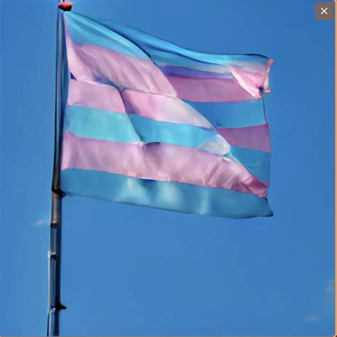 This Ant The Transgender Flag This Is The Gendertrans Half R