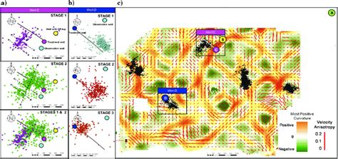 Map View Of Microseismic Event Locations Corresponding To A Wells C Download Scientific
