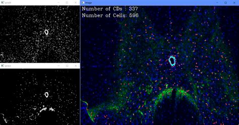 GitHub CBH CellTools A Series Of Tools To Process The Results Of Immunofluorescence In
