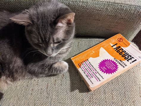 The Best Scandanavian Female Orgasm Book You Never Knew About I Accuse By Mette Ejlersen