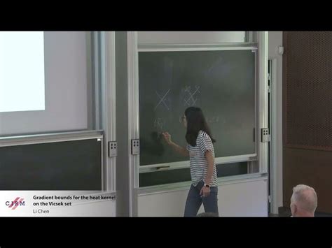 Free Video Gradient Bounds For The Heat Kernel On The Vicsek Set From