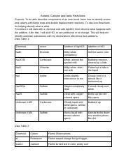 Identifying Anions And Cations Through Ionic Reactions Course Hero