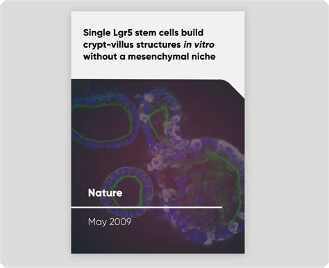 Single Lgr5 Stem Cells Build Crypt Villus Structures In Vitro Without A