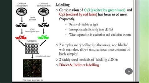 Dna Microarray Technique In Pathology Pptx